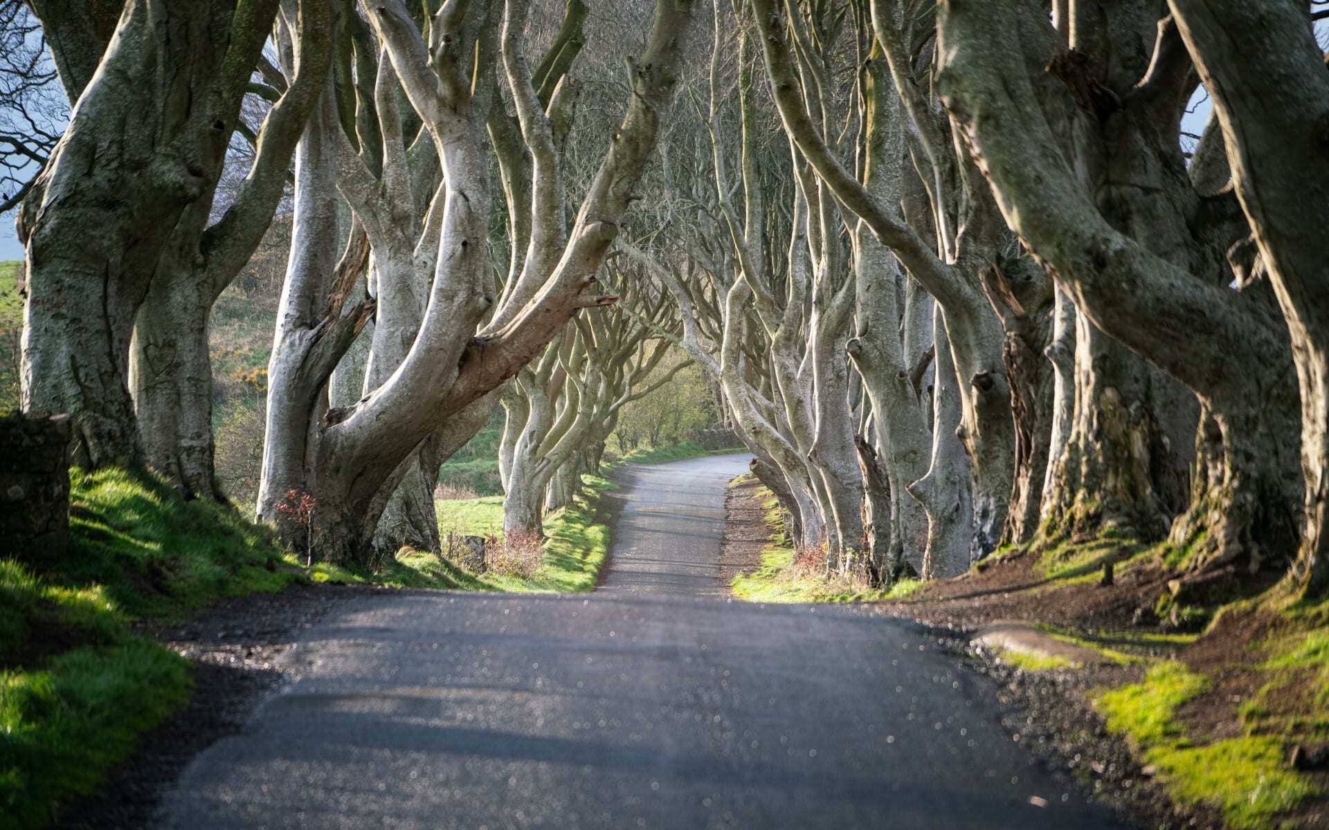 Game of Thrones Filming Locations in Northern Ireland