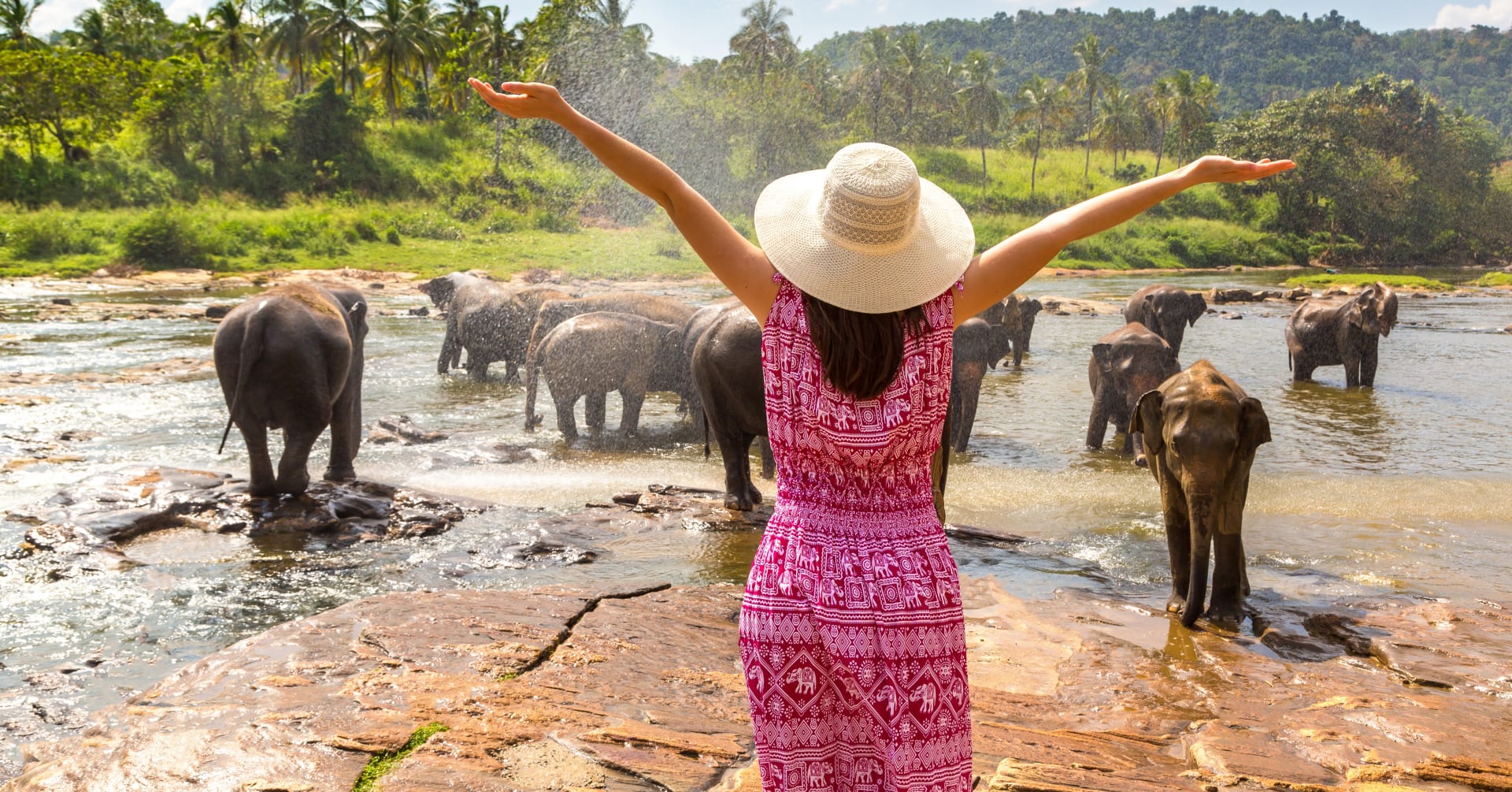 Best Time to Visit Sri Lanka for Weather & Wildlife