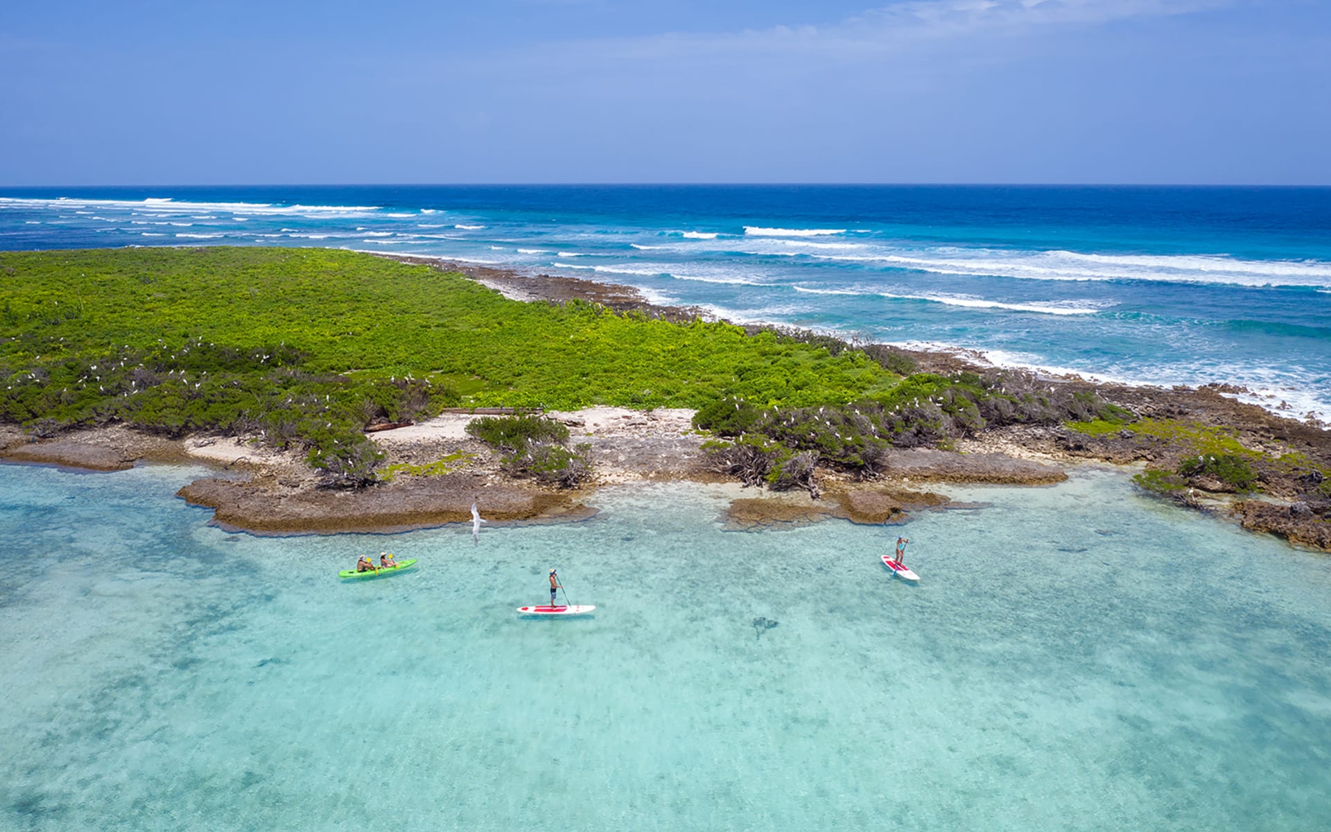 Cosmoledo Scuba Diving Trip Tailor Made by Wayfairer Travel