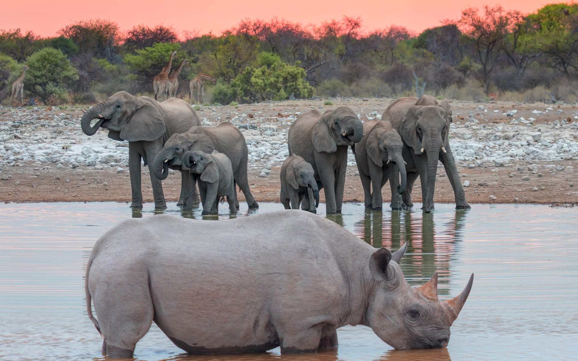 What to Do in Namibia: 8 Activities to Perform
