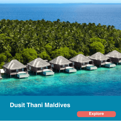 Your Guide to Language in the Maldives.