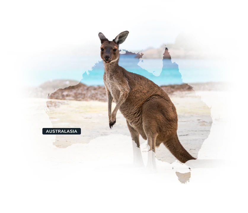 Ecuador Animals: Remarkable Wildlife of Ecuador